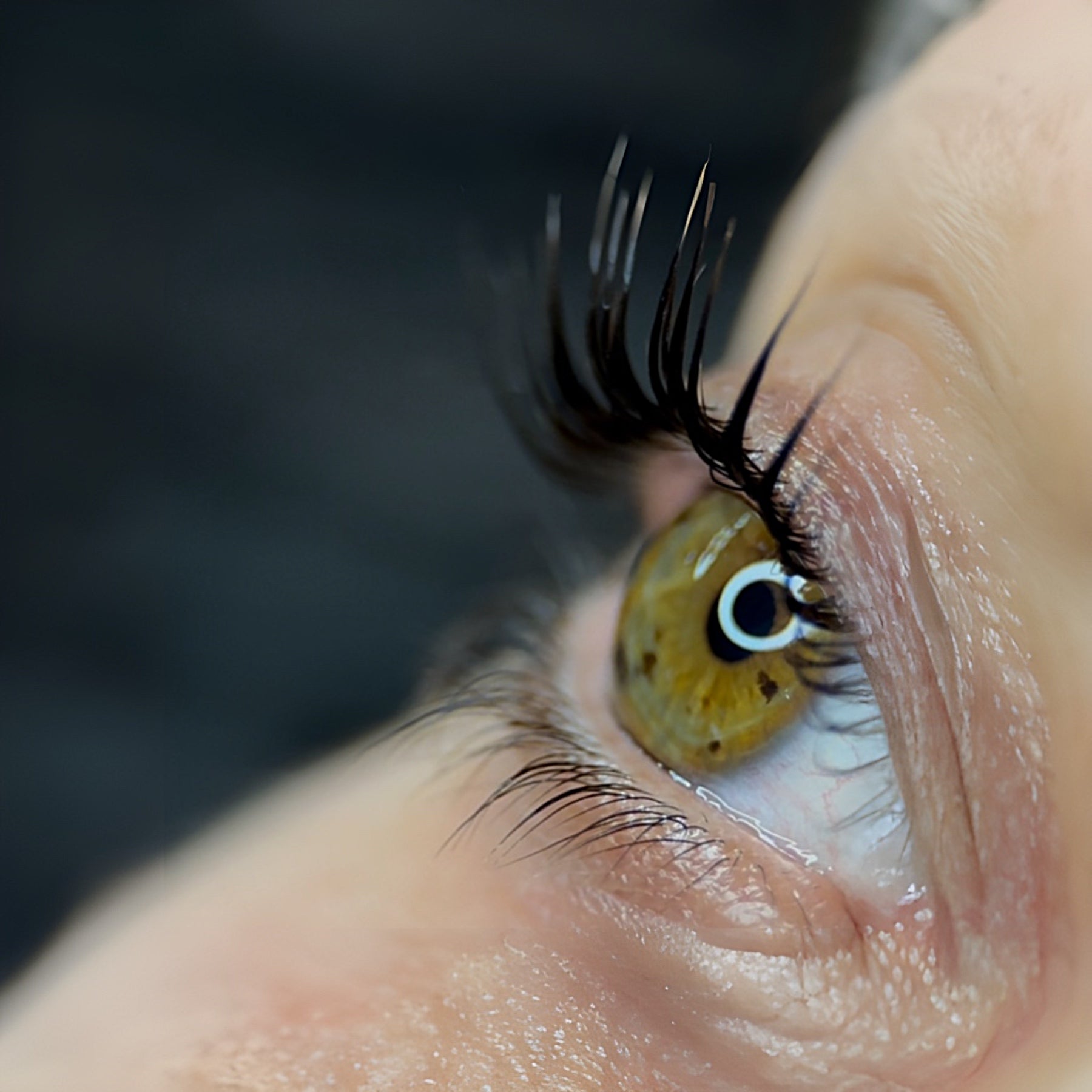 Powder Brows in Westwood & Los Angeles - Belris®